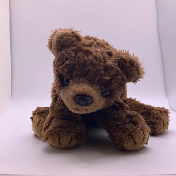 Beanie Babies | Toys | Ty Beanie Classic 996 Cocoa Bear | Poshmark